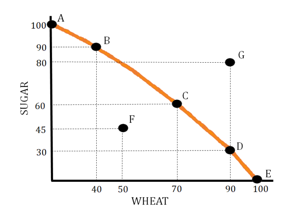 Professor Curious — World's First Real-Time AI Professor | Scan Doubts ...